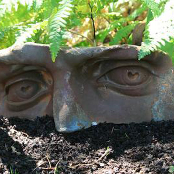 Michelangelo's David's Eyes - Essence of the Tree
